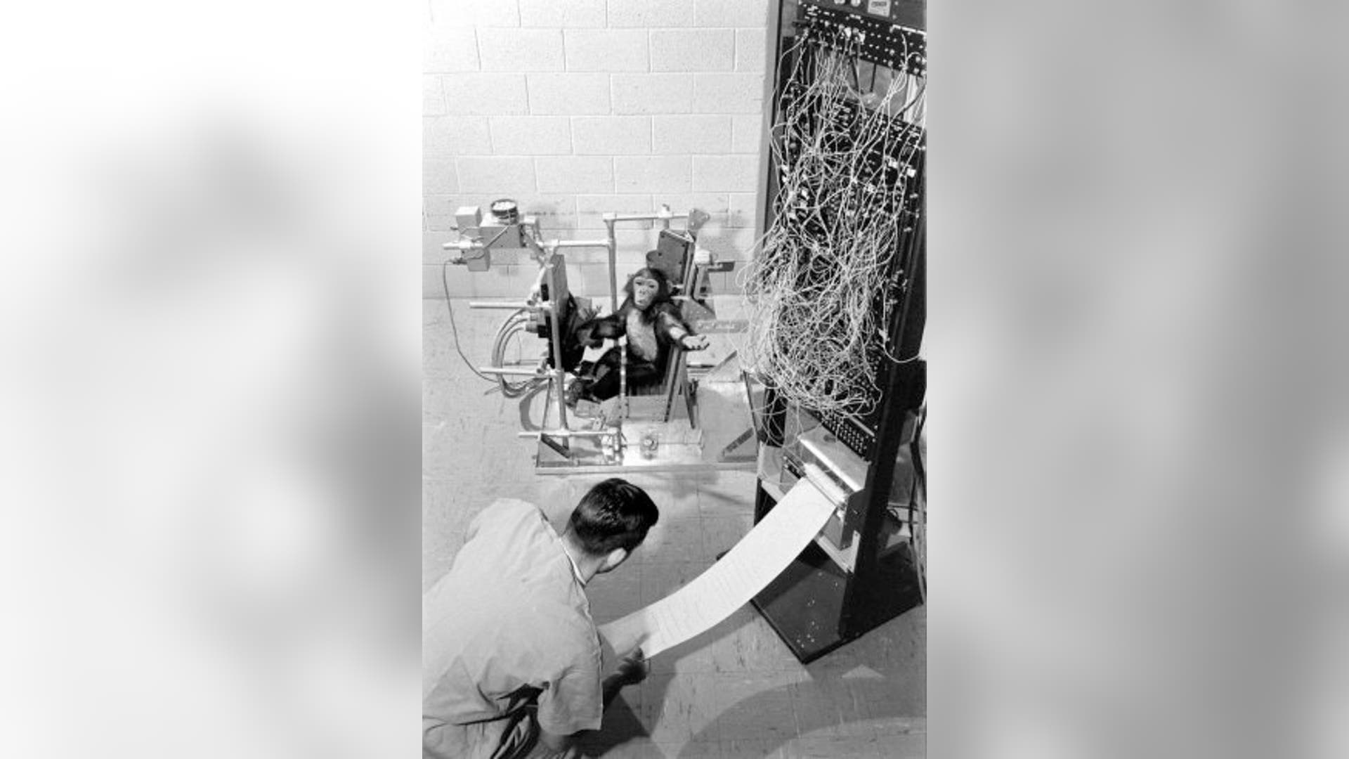 America's first space monkey | Fox News