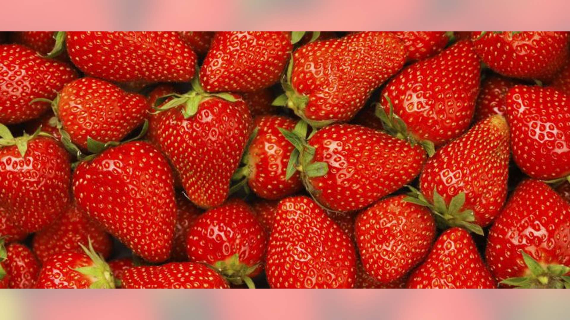 The 6 Healthiest Berries for Women’s Hearts | Fox News The 6 Healthiest Berries for Women’s Hearts | Fox News