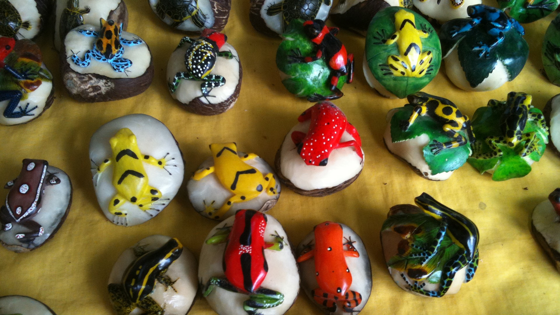 Discovering Panama City | Fox News