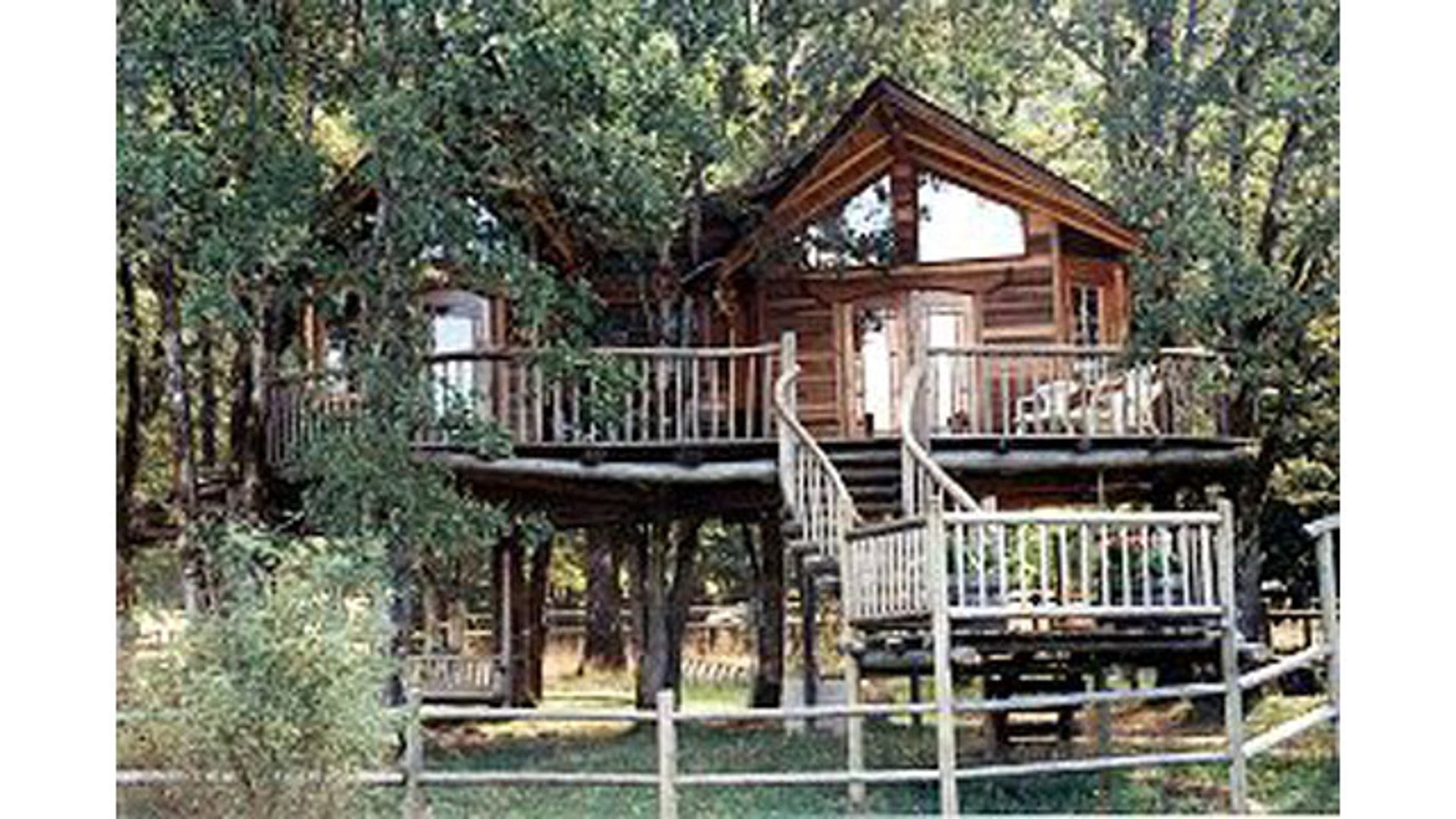 America's best treehouse resorts | Fox News