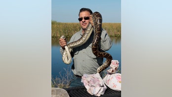 WILD NATURE | Fox News