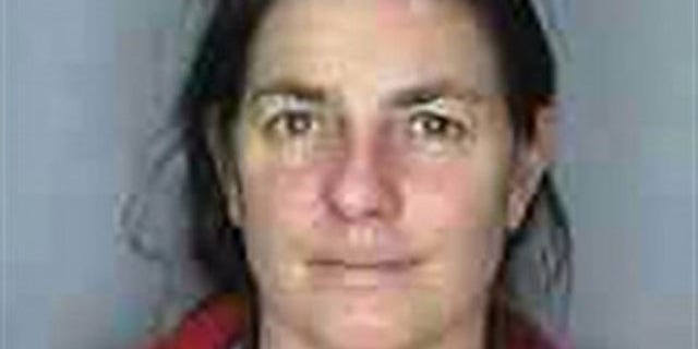 Wife of RFK Jr. Faces New Impaired-Driving Charge | Fox News