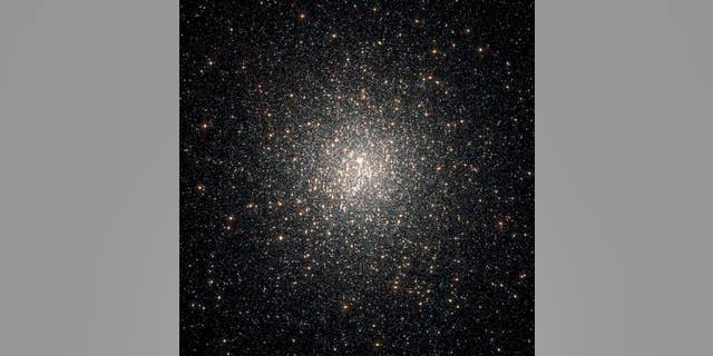 21-year-old makes astronomy breakthrough | Fox News 21-year-old makes astronomy breakthrough | Fox News