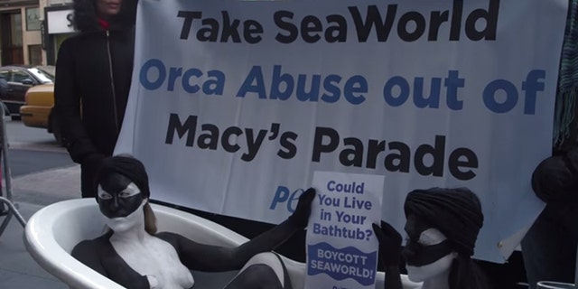 Nude protest against SeaWorld planned for Macy's Thanksgiving Day ...