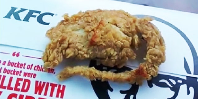 KFC says DNA shows 'fried rat' was chicken | Fox News