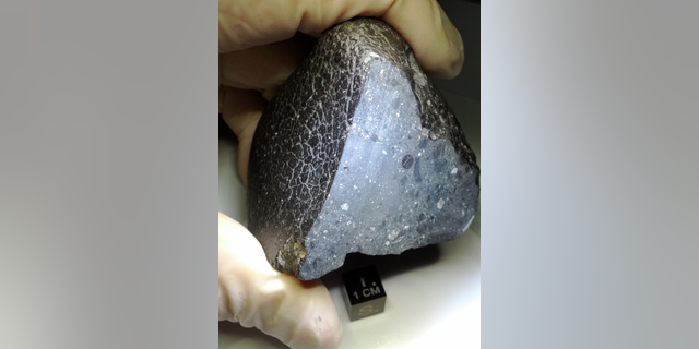 Meteorites brought water to Earth during the first two million years ...