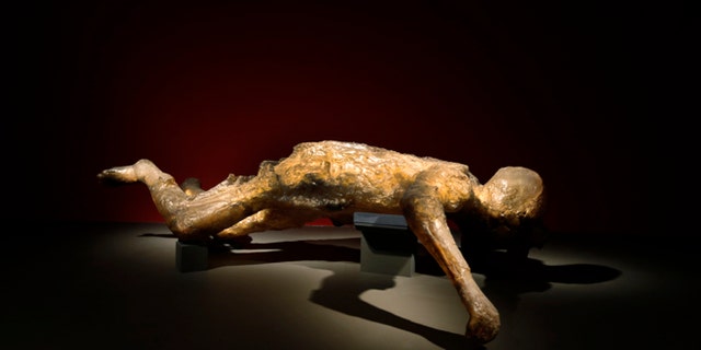 Pompeii exhibition brings doomed town to life | Fox News