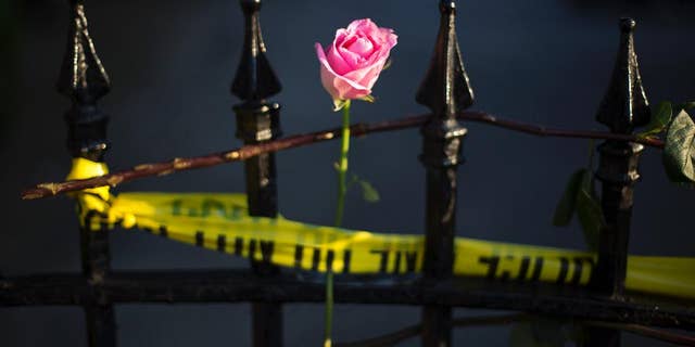 Relatives of Mother Emmanuel Nine offer model of grace for us all | Fox ...