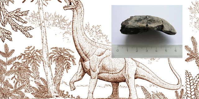 How Cold-Blooded Were the Dinosaurs? | Fox News