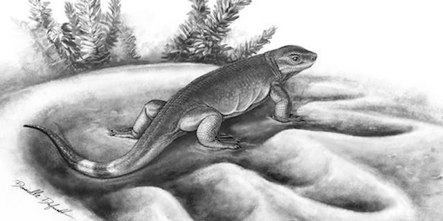 Tiny land-dwelling carnivore evolved into huge vegetarians | Fox News