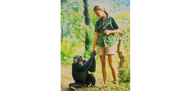 Jane Goodall says she was worried how son would react to 'Jane ...