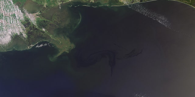 Long-Term Environmental Effects of Oil Spill Unclear | Fox News Long-Term Environmental Effects of Oil Spill Unclear | Fox News