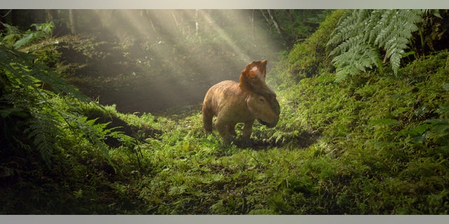 Dinosaurs ‘would’ve lived on’ as experts reveal ‘they were thriving’ before asteroid wiped them ...