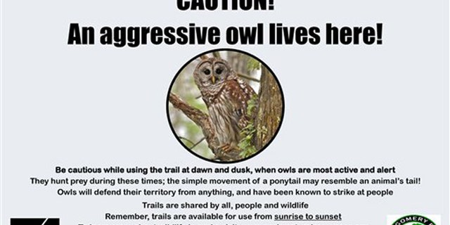 Maryland park officials warn runners of 'aggressive' owl | Fox News