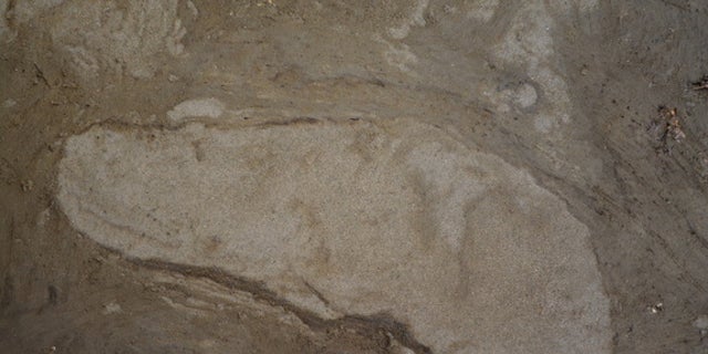 'Extraordinary' 5,000-year-old human footprints discovered | Fox News 'Extraordinary' 5,000-year-old human footprints discovered | Fox News