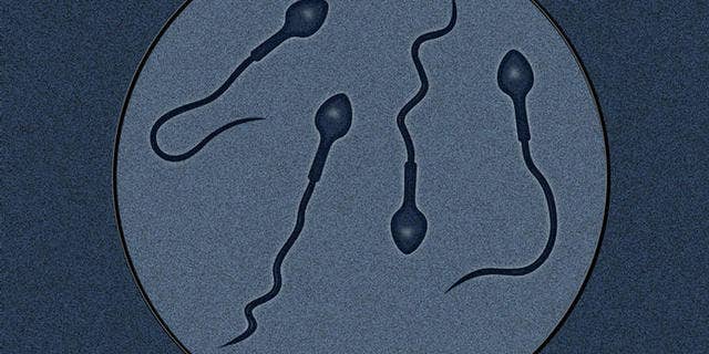 Whos Your Daddy Sperm Donation Creating Superdads That May Have Fathered Hundreds Report