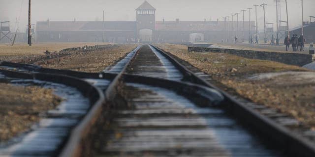 Holocaust survivor who endured Nazi medical experiments opposes ...