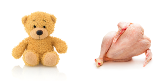 Woman's ad for raw-chicken 'teddy bears' pulled from Facebook ...