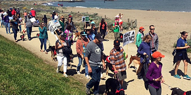 Hundreds walk pooches to protest dog-walking limits | Fox News