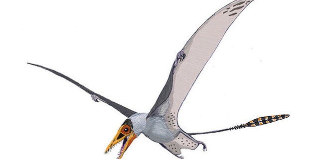 Giant, flying reptiles once filled England's skies | Fox News