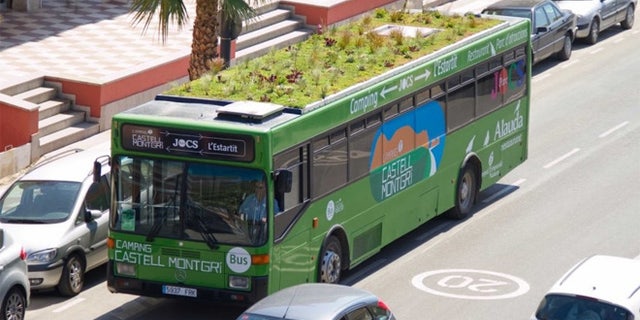 Designer plants a garden on a bus | Fox News