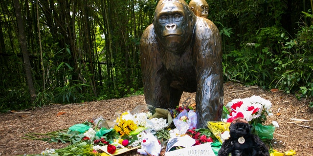 Cincinnati Zoo takes down Twitter account amid Harambe meme onslaught ...