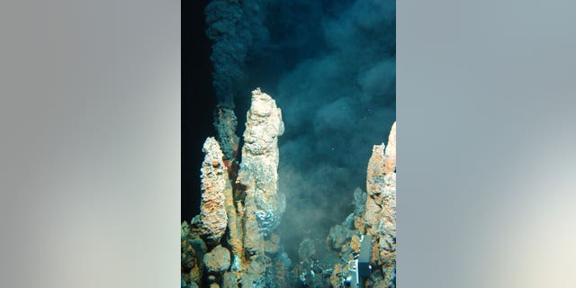 1 The New Hydrothermal Vent Ecosystem Adapted From Van