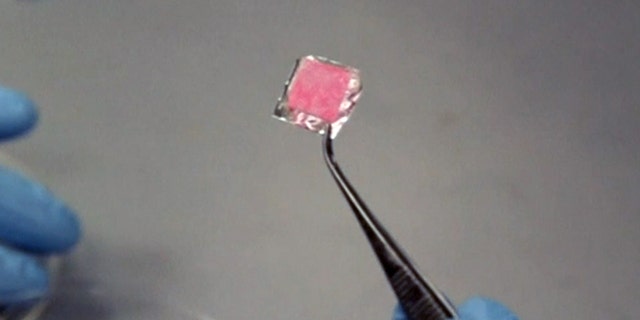 Insulin Patches Could Replace Injections For Diabetics Fox News