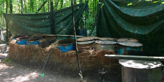 Illegal moonshine operation discovered in Alabama woods | Fox News