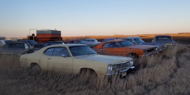 Farm find! Huge hoard of classic Dodge and Plymouth cars and trucks ...