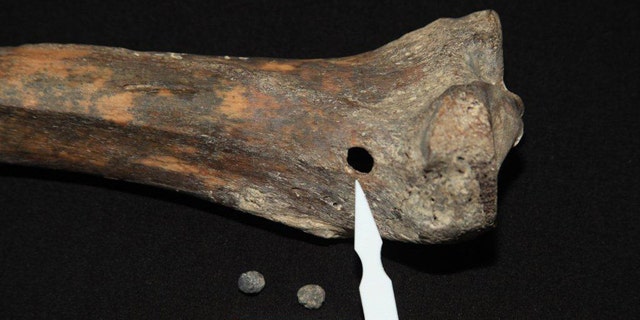 Australia Identifies Bones of Storied Criminal Ned Kelly | Fox News