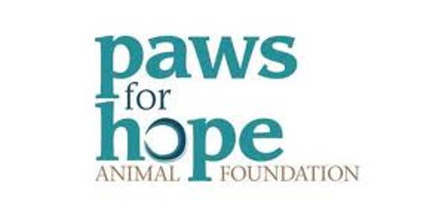 Paws for Hope and Faith | Fox News