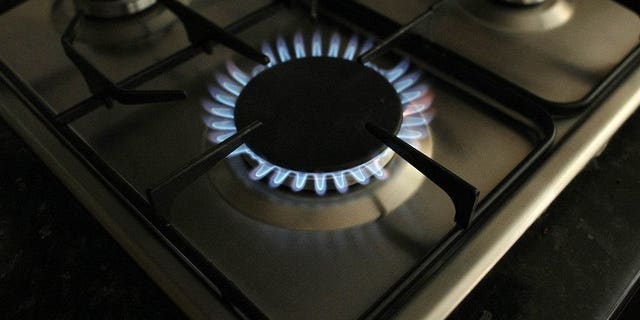 British Gas Reveals Plans For Free Power On Saturdays Fox News british-gas-reveals-plans-for-free-power-on-saturdays-fox-news
