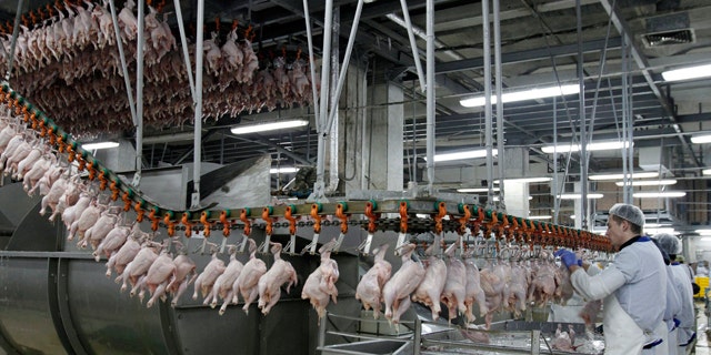 Hand deformities turn up in poultry workers, report finds | Fox News