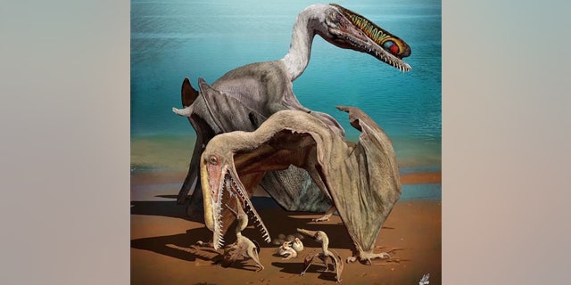 Remarkable discovery shows fossilized pterosaur eggs with perfectly ...