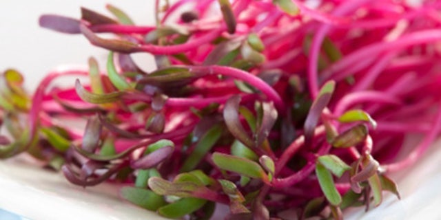 Dutch Find Different E. Coli, Pull Beet Sprouts | Fox News