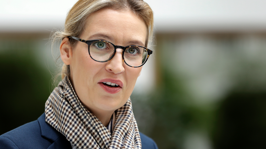 German Right Wing Party On Course To Enter Parliament Fox News