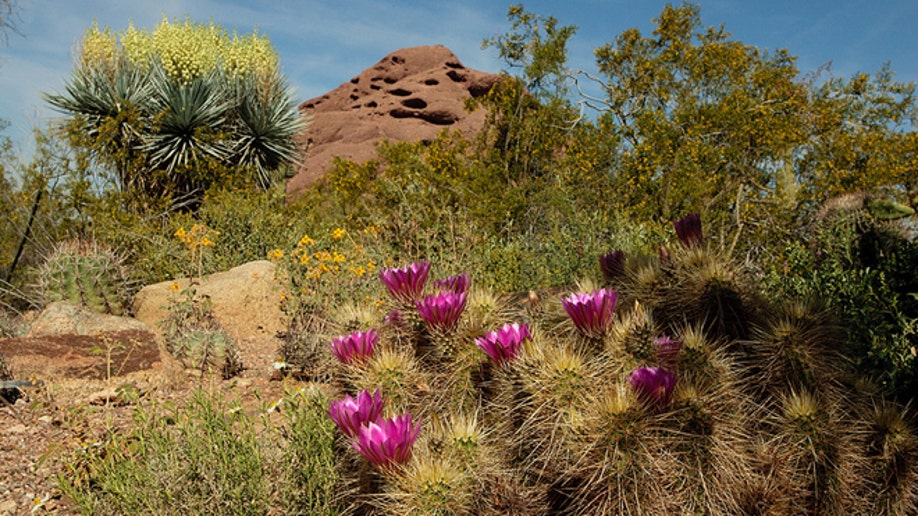 Top 13 public gardens | Fox News Top 13 public gardens | Fox News