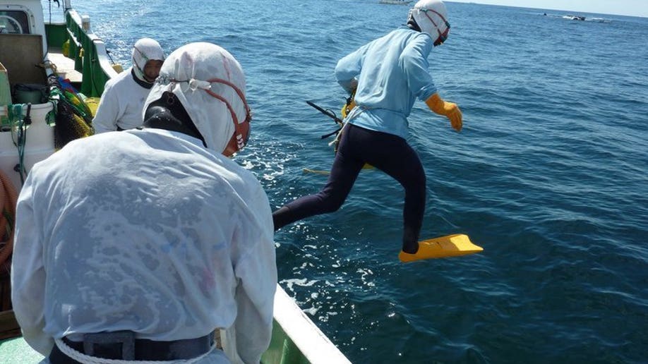 Japan's ageing 'ama' divers defy tide of time | Fox News