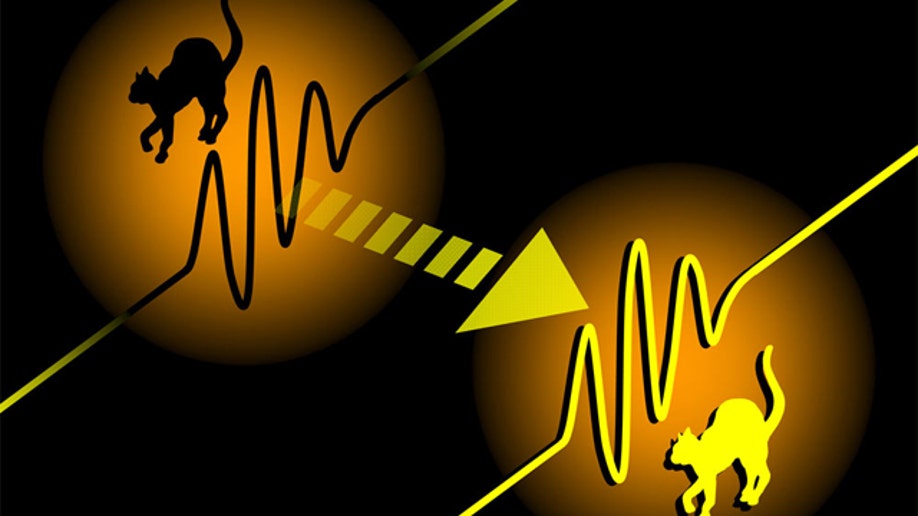 Quantum Leap: Scientists Teleport Bits of Light | Fox News Quantum Leap: Scientists Teleport Bits of Light | Fox News