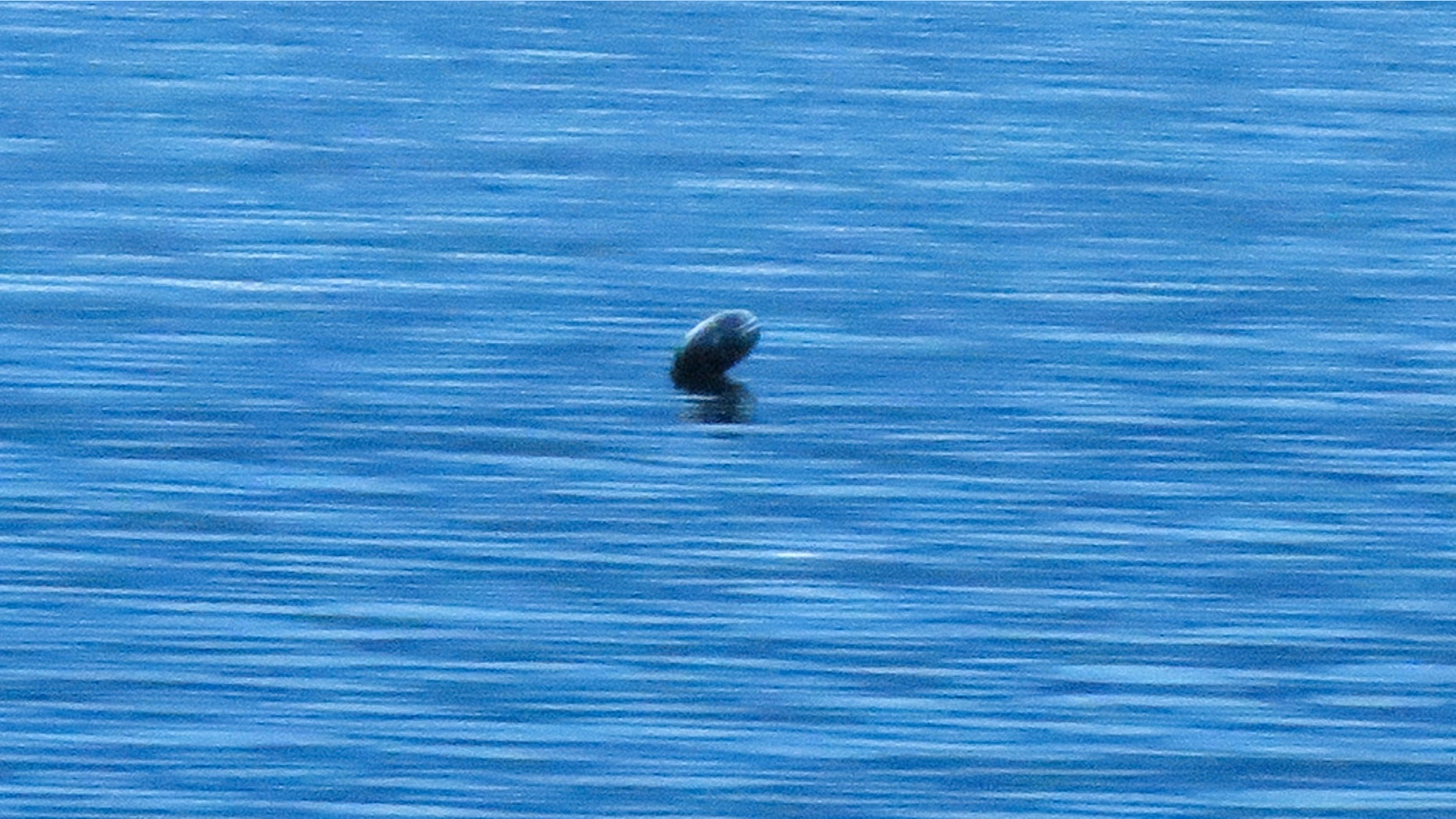 Canadas Loch Ness Monster The Legendary Ogopogo Lake Monster Caught On Video The Demons Den
