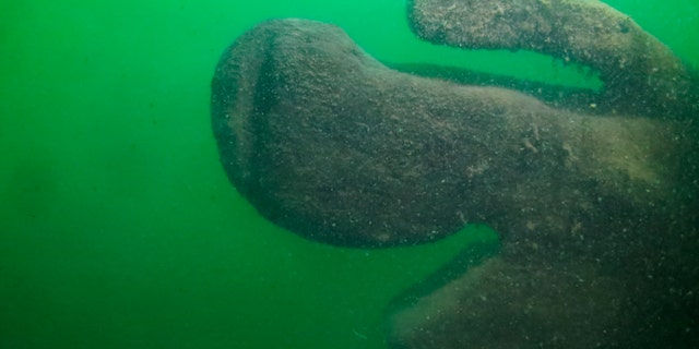 Mysterious shipwreck reveals its secrets: Wreck may be Lake Erie’s ...
