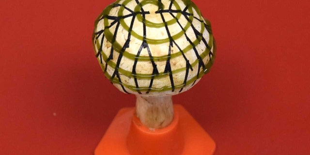 This bionic mushroom can make electricity | Fox News