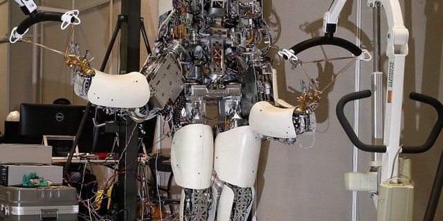 Pentagon seeks to harness insect brains for 'conscious robots' | Fox News