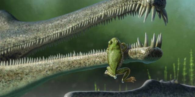 Oldest frog relative from North America could fit on your pinky finger ...