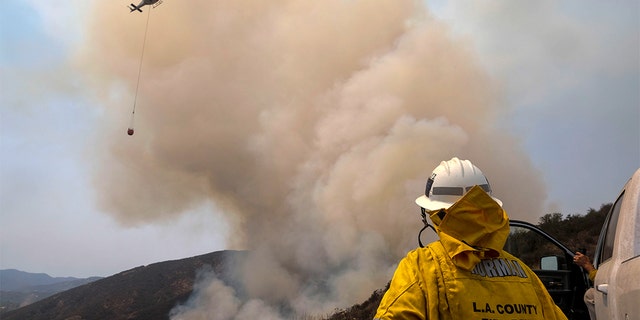 California wedding planner jailed for duping Good Samaritans out of ...