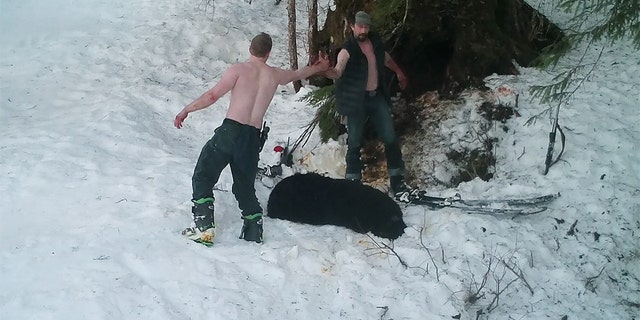 Poaching footage released of father and son in Alaska killing protected ... Poaching footage released of father and son in Alaska killing protected ...