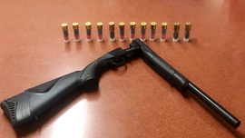 Man charged slaying of dad who was reputed New York mobster | Fox News