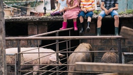 Murdered soldier's wife among two arrested in killing, cops say | Fox News