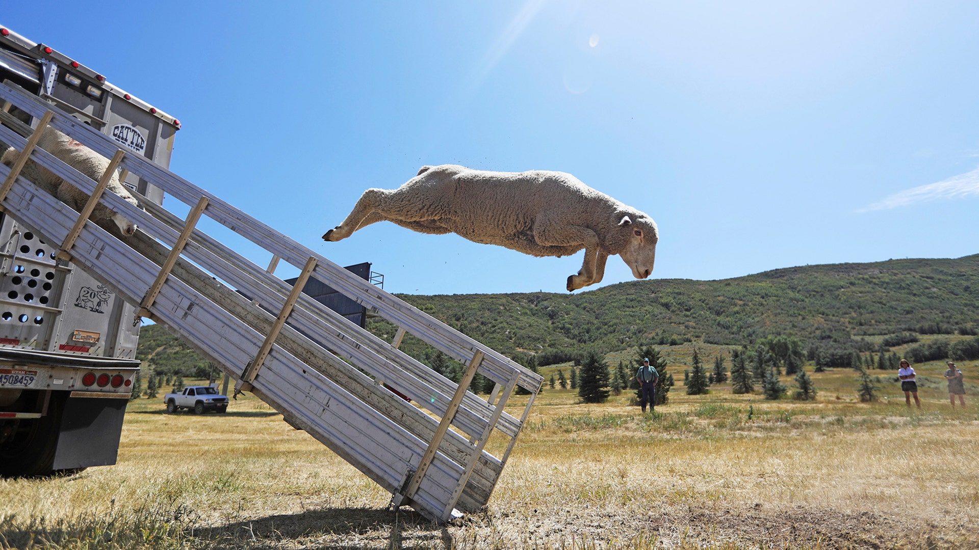 The week in pictures, Aug. 24 - Aug. 30 | Fox News